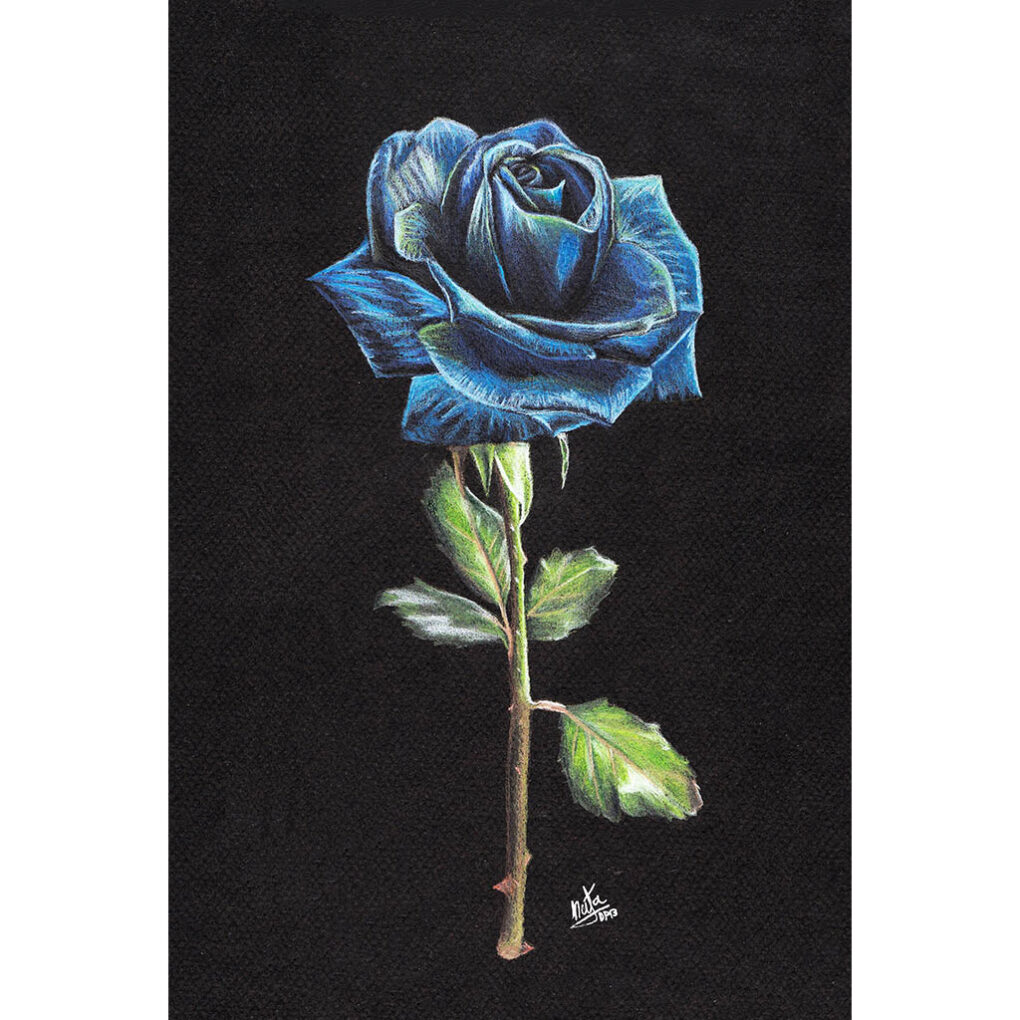 Lámina Rosa Azul - Serie Flores - NataDPB